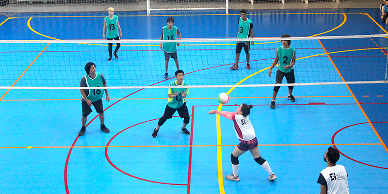 Esporte Adulto I Vôlei Misto - Sesc São Paulo : Sesc São Paulo
