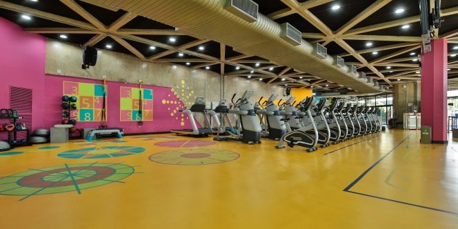 MOVE Academia – Sesc - Sesc São Paulo : Sesc São Paulo