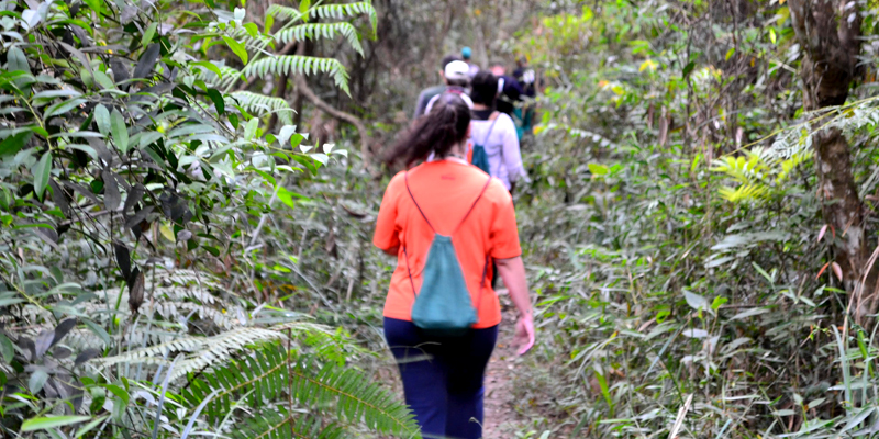 Trilha no Parque Natural Municipal Fazenda do Carmo com acessibilidade - Sesc São Paulo : Sesc ...
