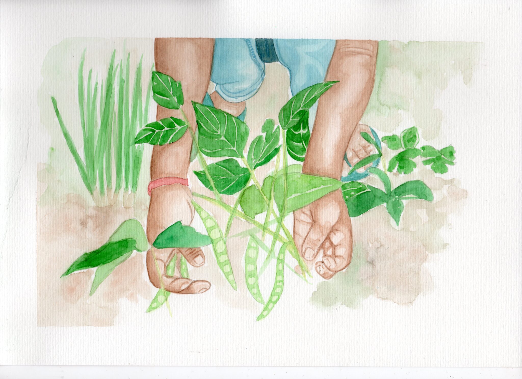 Cultivo ancestral nas comunidades quilombolas - Sesc São Paulo : Sesc São Paulo